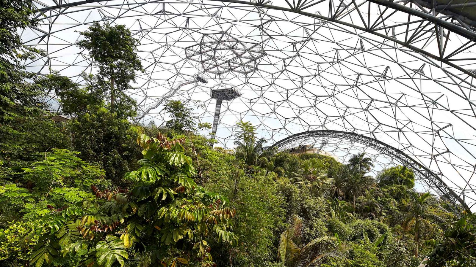 Eden Project